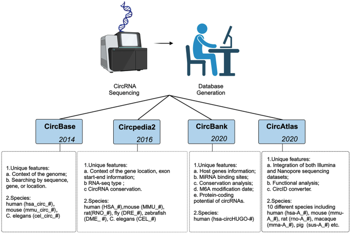Guidelines for the Naming of Circular RNAs | SpringerLink
