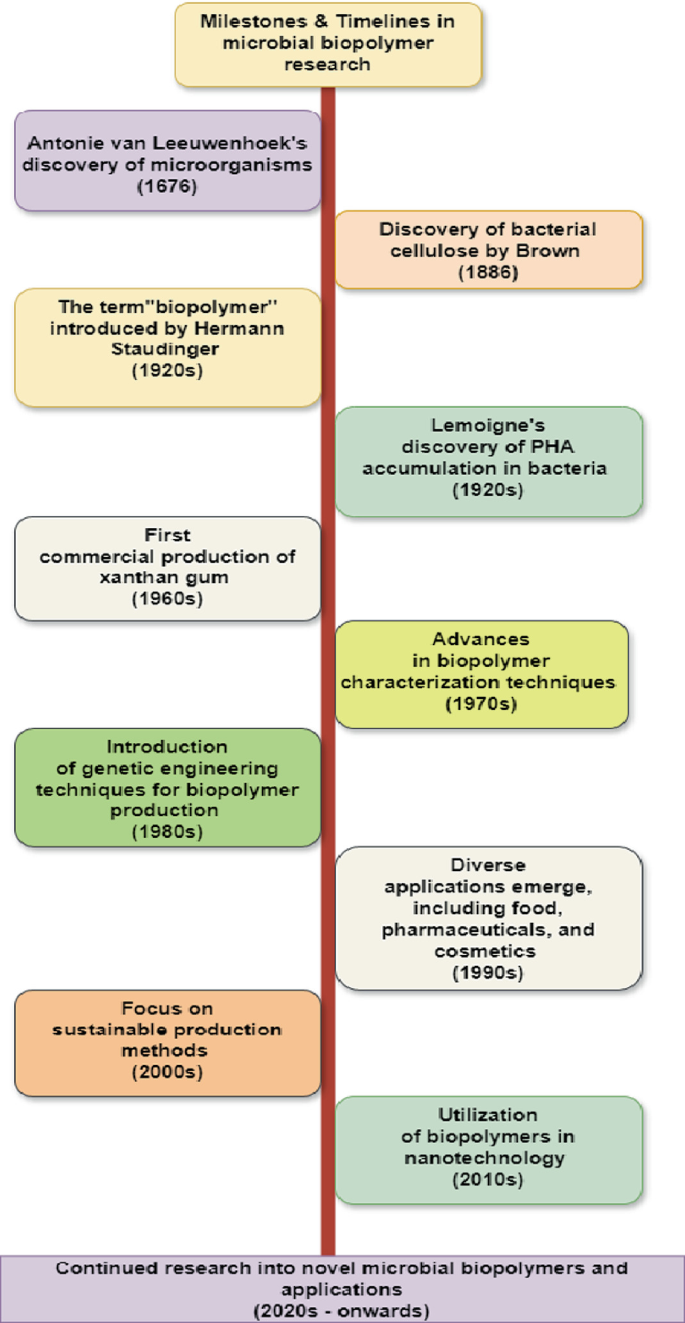 Microbial Biopolymer: Exploring the Role of Microbes in Polymer ...
