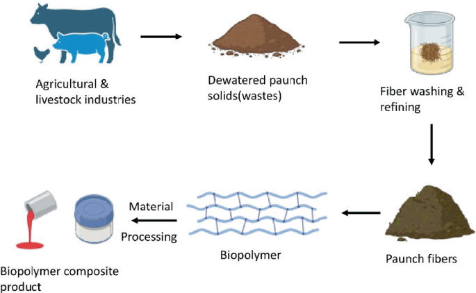 Agric-Waste as a Source of Innovative and Compostable Composite ...