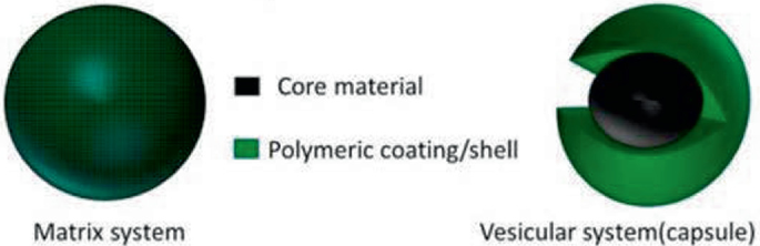 Nano and Microencapsulation of Biopolymers | Springer Nature Link