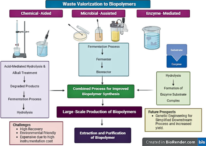 Large-Scale Production of Biopolymers and Biopolymeric Nanoparticles ...
