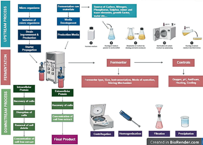 Large-Scale Production of Biopolymers and Biopolymeric Nanoparticles ...