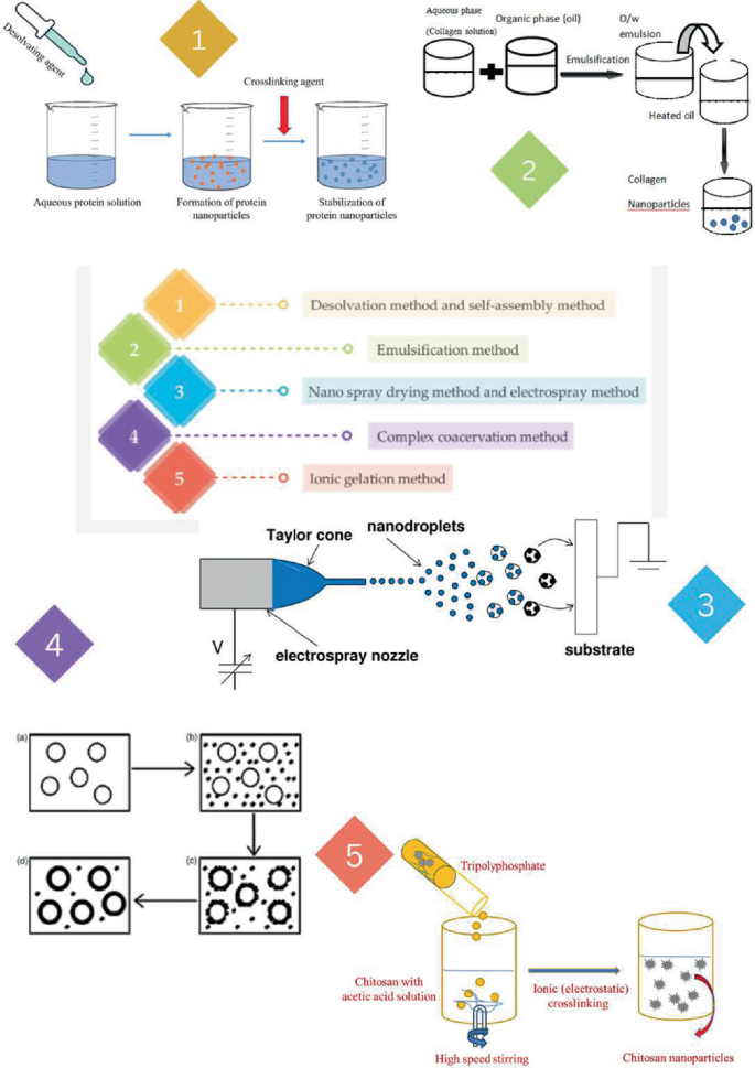 Large-Scale Production of Biopolymers and Biopolymeric Nanoparticles ...