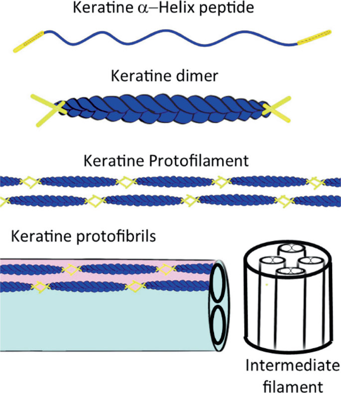 Classification and Synthesis of Nano-Biopolymers | SpringerLink