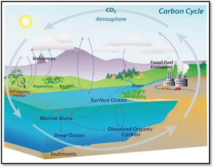 Adaptation Techniques to Irrigation Water Shortages Due to Climate ...