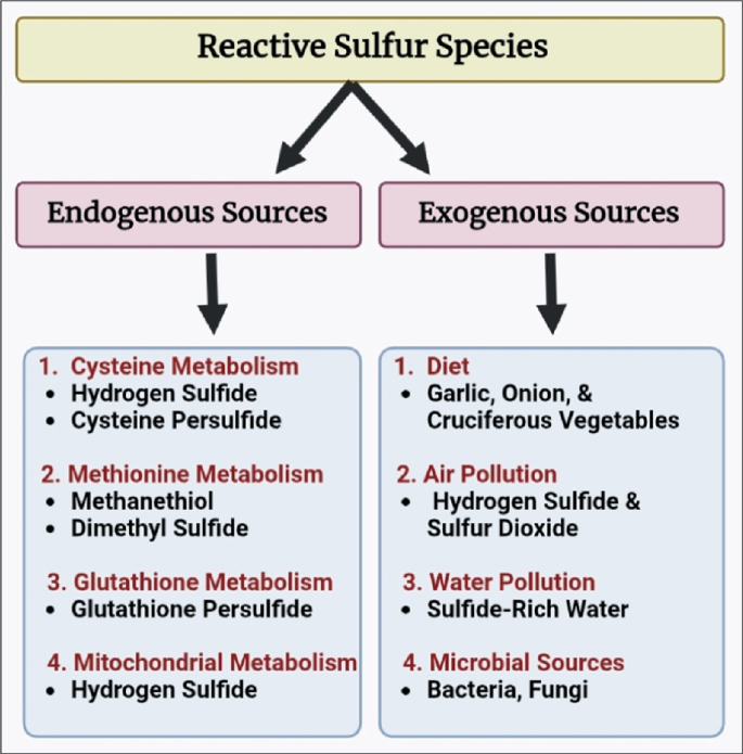 Elucidating the Impact of Reactive Molecules on Cell Signaling Networks ...