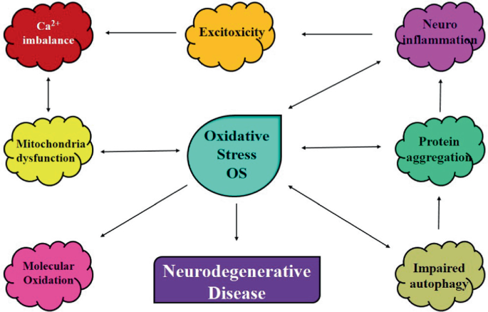 Oxidative Stress and Pathophysiology of Chronic Disease | Springer ...