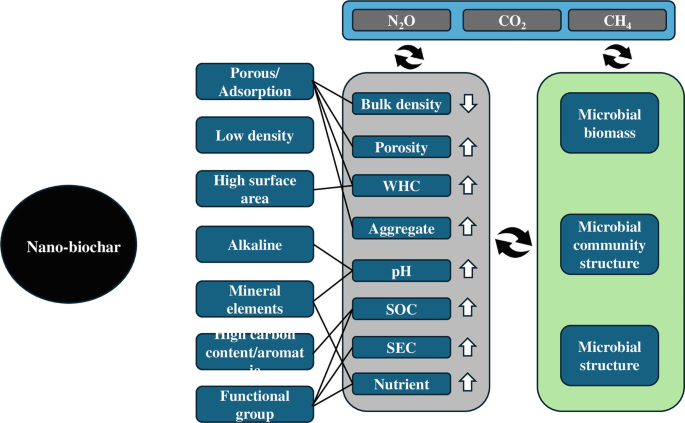 Engineered Nano-Biochar from Lignocellulosic Residues: Innovative ...