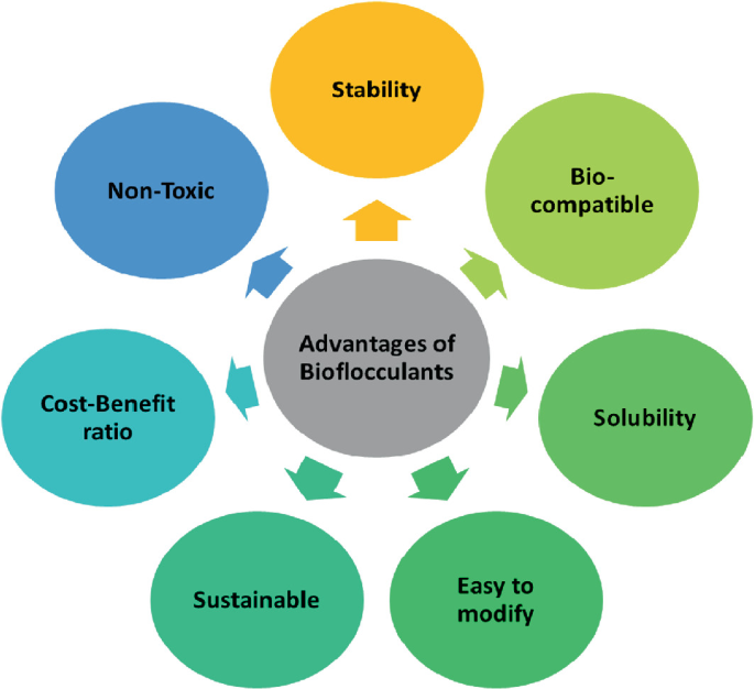 State of the Art and Multifaceted Applications of Bioflocculants for ...
