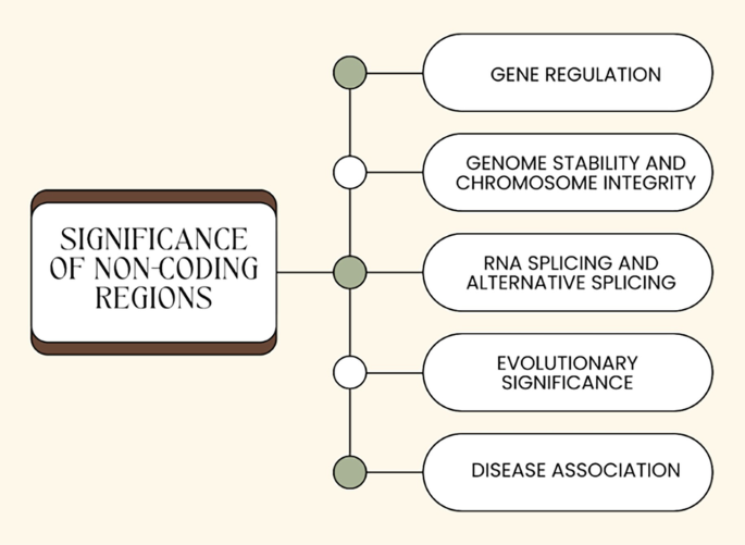 Introduction to Noncoding Regions | SpringerLink