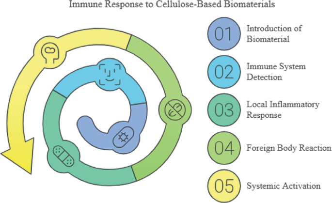 Safety and Biocompatibility of Cellulose-Based Materials | Springer ...