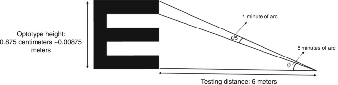 Visual Acuity: High Contrast and Low Contrast | SpringerLink