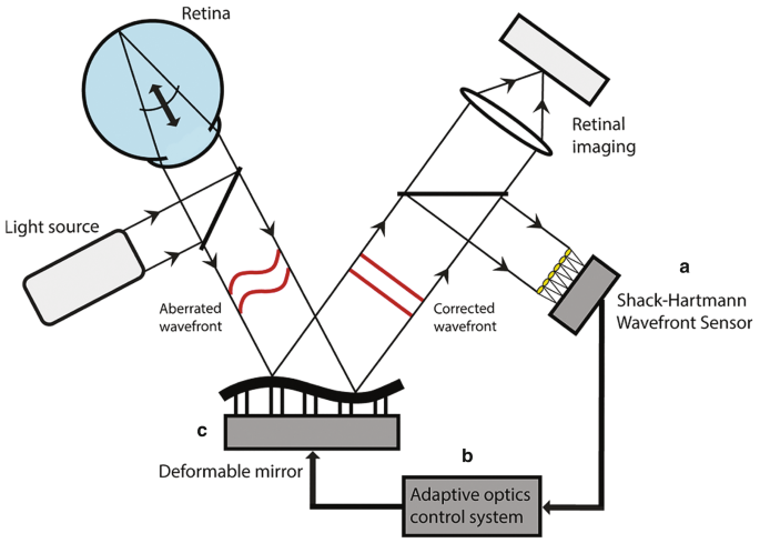 Adaptive Optics | SpringerLink