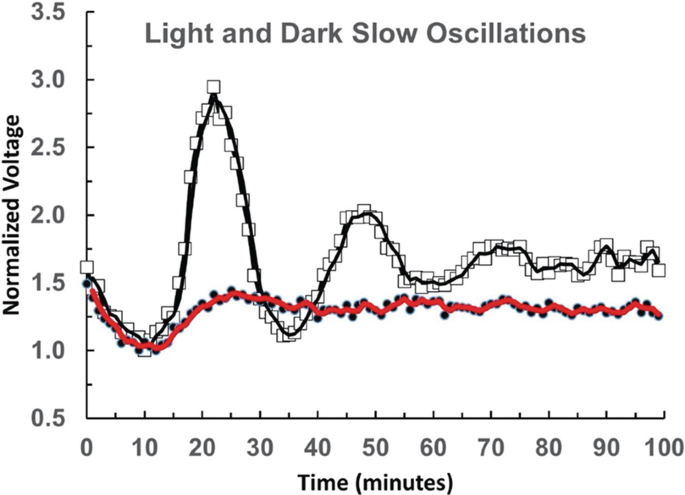 The Clinical Electro-Oculogram | SpringerLink