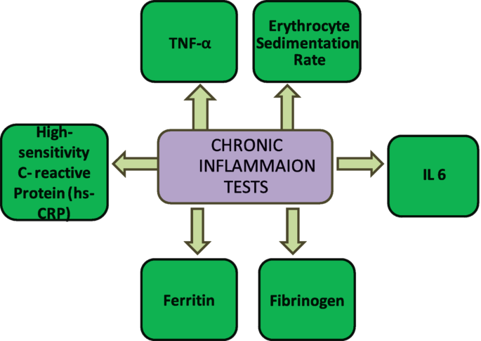 Overview of Inflammation | SpringerLink