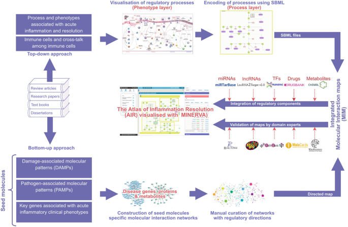 Mechanistic Understanding of Inflammation Resolution Using the Atlas of ...