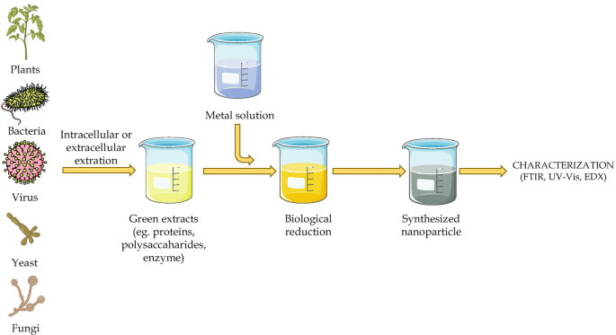 Harnessing the Power of Metallic Nanoparticles: Antimicrobial Peptide ...