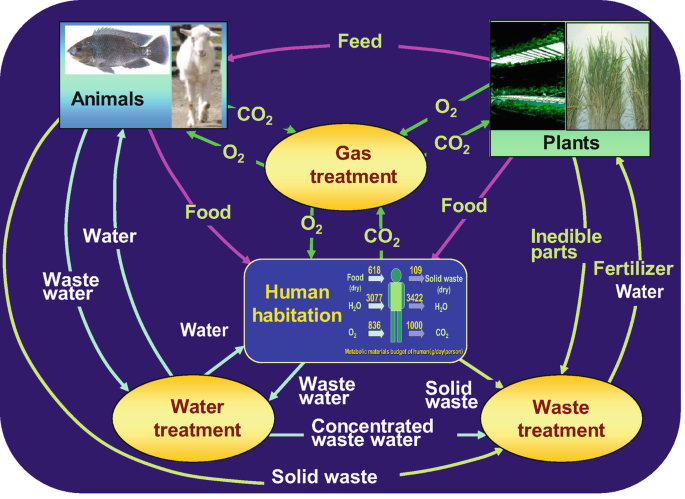 Controlled Ecological Life Support Systems as Completely Closed ...