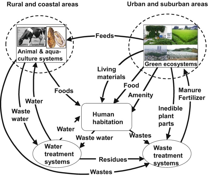 Sustainable Balance of Human Activities and Environmental Conservation ...