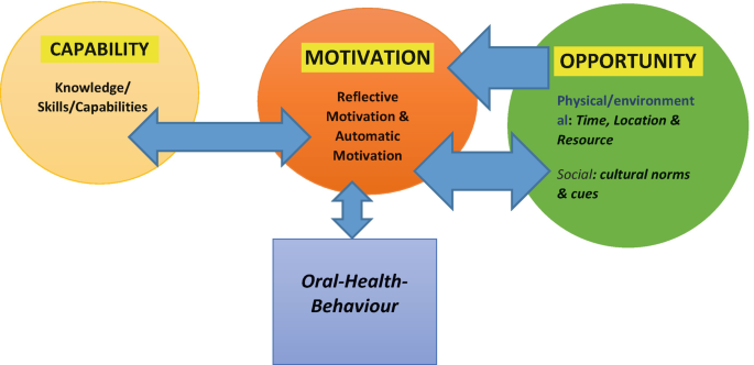 Role of Dentist in Promoting Oral Health and Preventing Oral Diseases ...