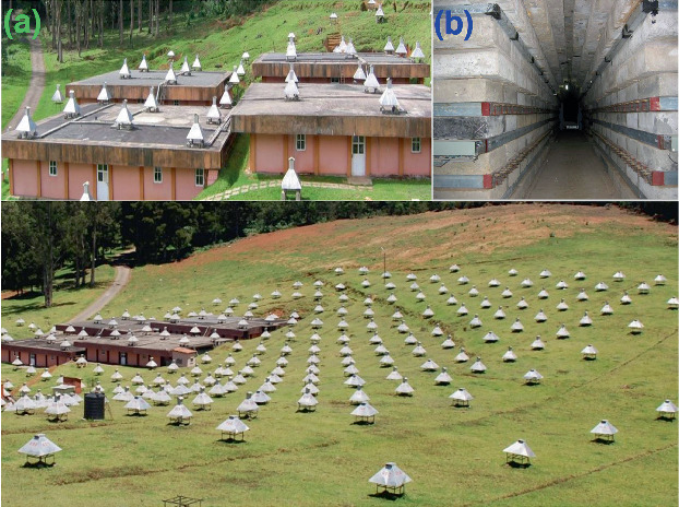 Summer Thunderstorm-Induced Muon Events (TIMEs) at GRAPES-3 Experiment ...