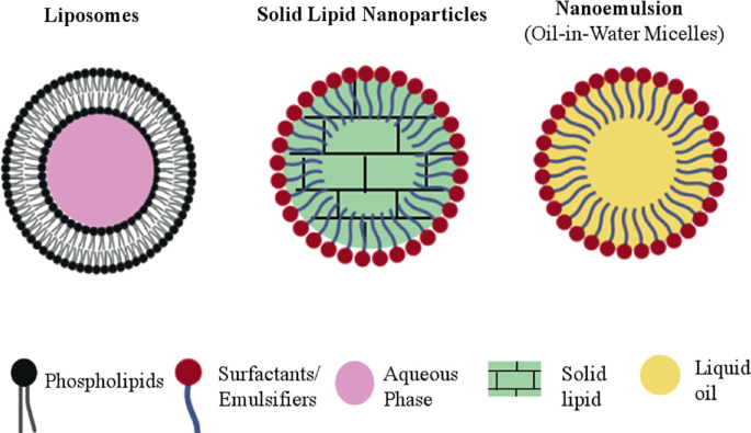 Nanotechnology Approach for Nose-to-Brain Drug Delivery | SpringerLink
