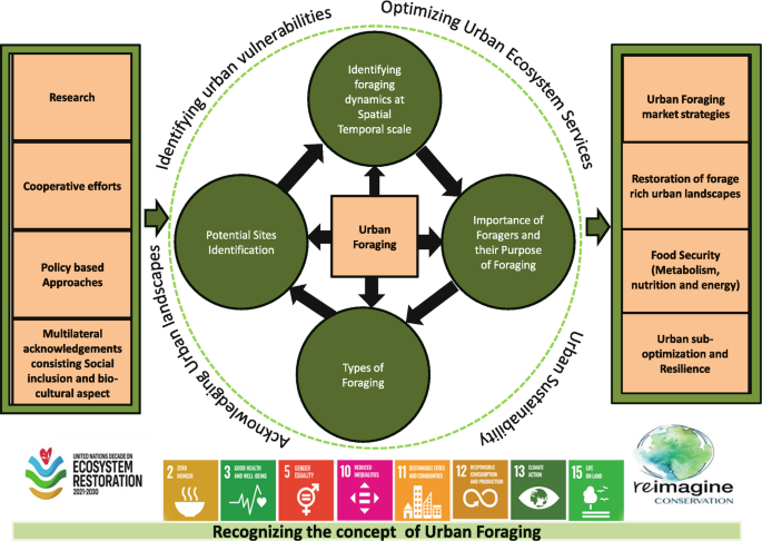 Understanding Urban Foraging Concepts in Fast Expanding Urban Areas in ...