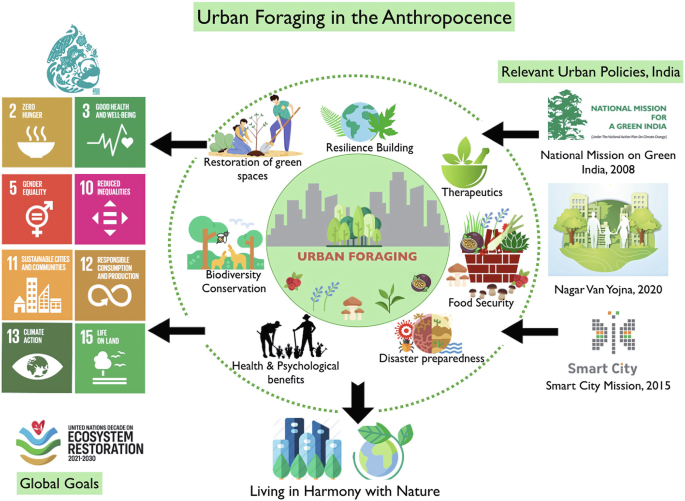 Rampant Urbanization, Loss of Green Spaces, Depleting Foraging Wisdom ...