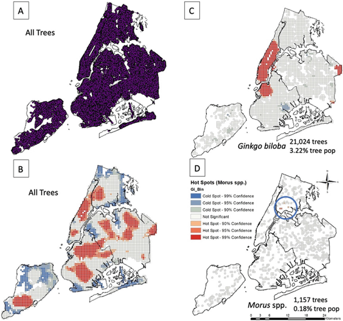 Accessing Culturally Significant Species in New York City, USA’s Urban Forest: The Case of ...