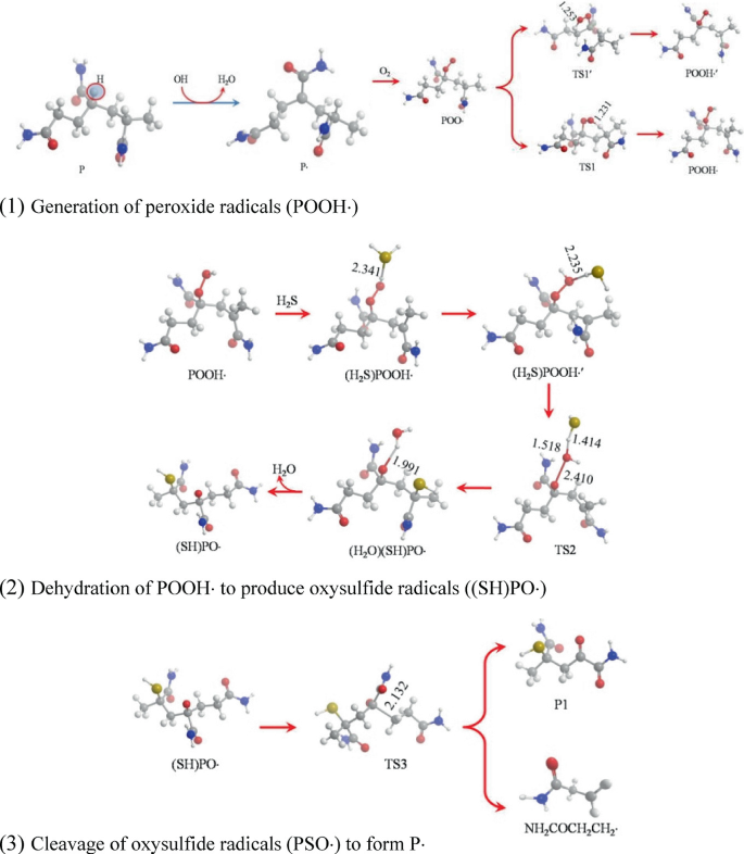 Viscosity Loss of Partially Hydrolyzed Polyacrylamide Solution Caused ...