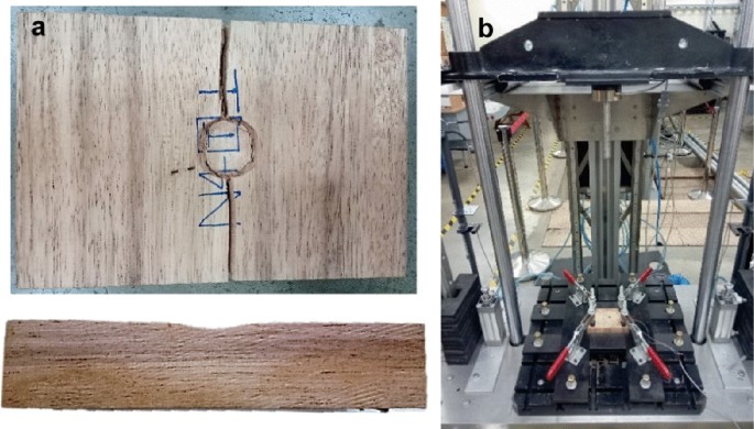 Modeling of Indentation on Wooden Surface in Drop Tower Impact ...