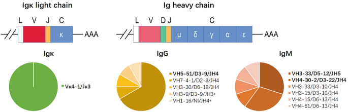 Expression and Function of Mammary Epithelial Cell-Derived ...