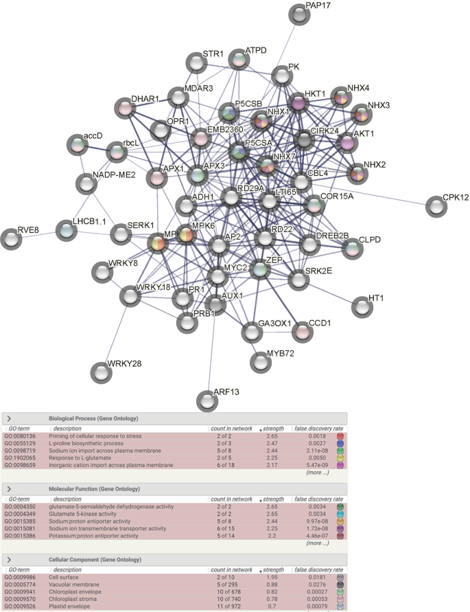 Plant Growth-Promoting Rhizobacteria (PGPR) and Plant Growth-Promoting ...
