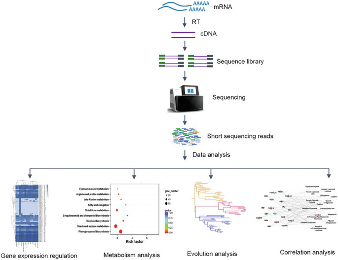 Transcriptomics for Tea Plants | SpringerLink