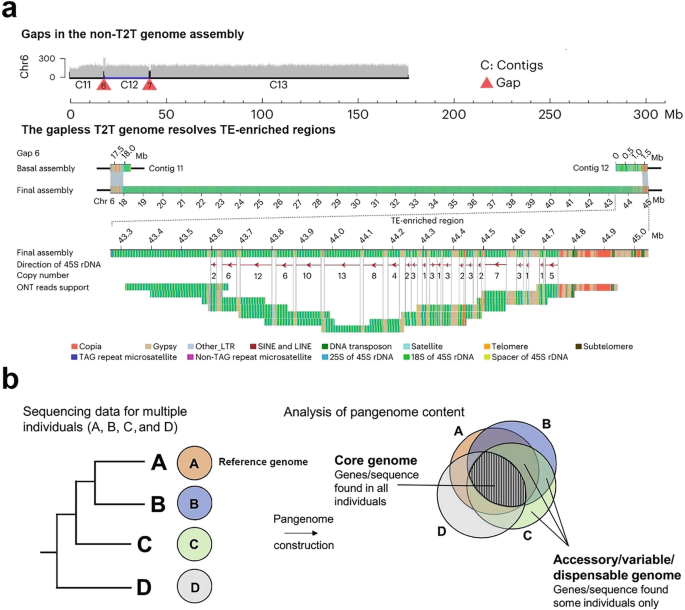 Future Perspectives in the Omics Era for Tea Breeding | SpringerLink
