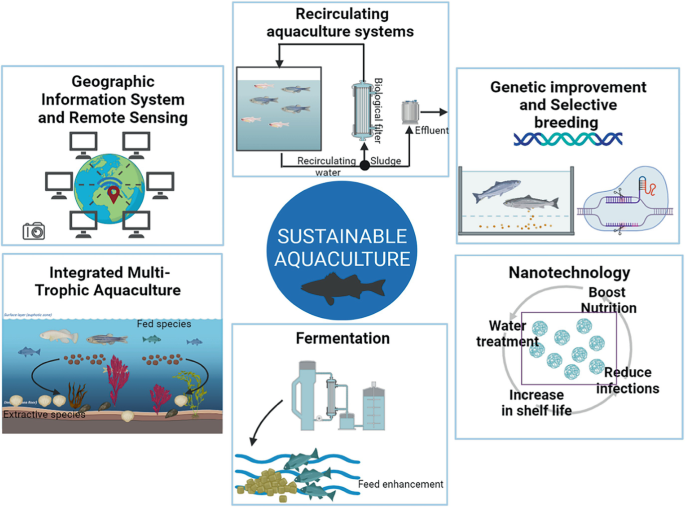 Role of Science and Technology for Sustainable Aquaculture Development ...
