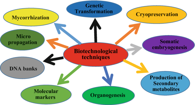 Biotechnological Tools for Conservation and Sustainable Utilization of ...