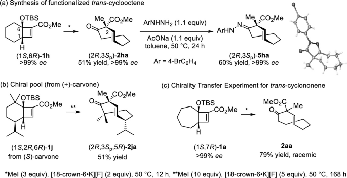 Synthesis of Functionalized Medium-Sized Trans-Cycloalkenes by 4π ...