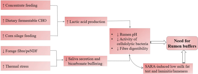Rumen Buffers to Harness Nutrition, Health and Productivity of ...