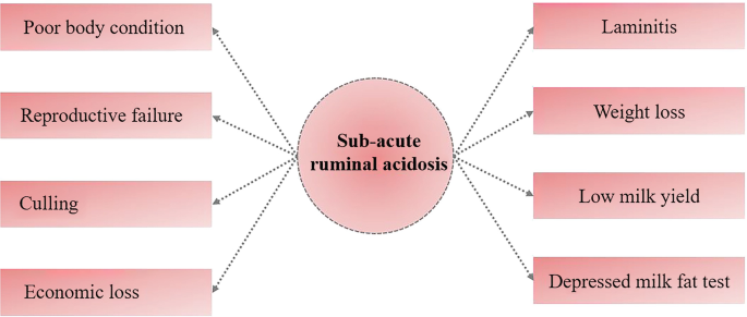 Rumen Buffers to Harness Nutrition, Health and Productivity of ...