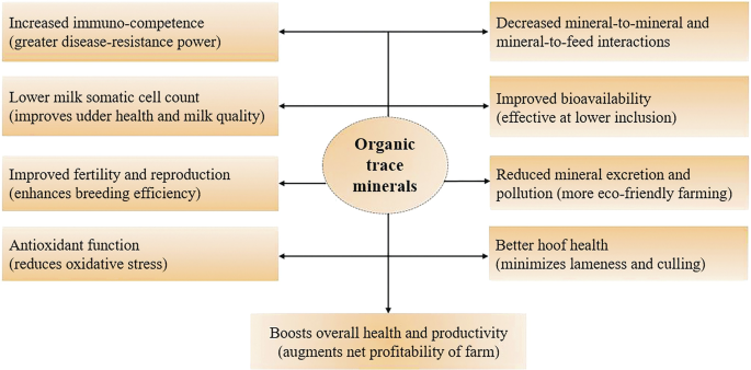 Organic Trace Minerals in Ruminant Nutrition: Production, Reproduction ...