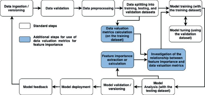 The Impact of Data Valuation on Feature Importance in Classification ...