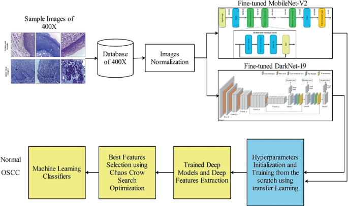 A Fusion Framework of Pre-trained Deep Learning Models for Oral Squamous Cell Carcinoma ...