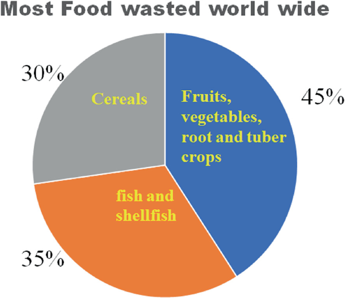 Food Waste Environmental Impact Assessment | SpringerLink