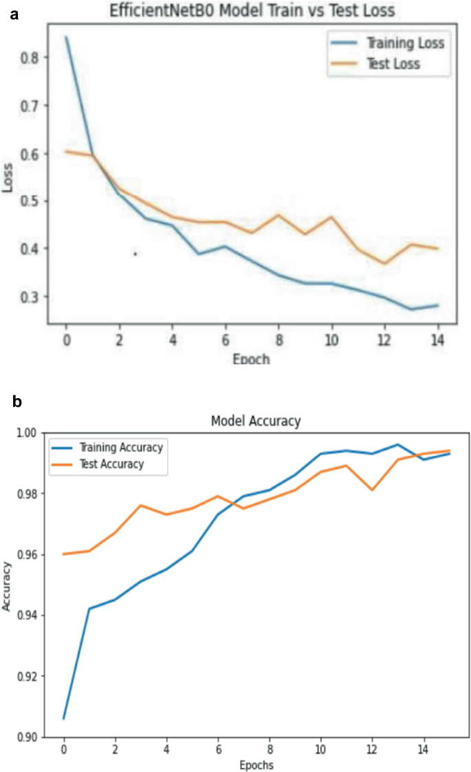 A High-Accuracy Deep Learning Approach for Wheat Disease Detection ...