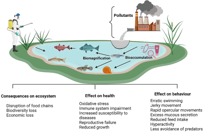 Impact of Aquatic Pollution on Indigenous Small Fish (ISF) Availability ...
