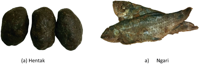 Indigenous Small Fish (ISF) Resources in a Northeastern State of India ...