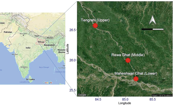 Significance, Threats, Conservation, and Management of Indigenous Small ...