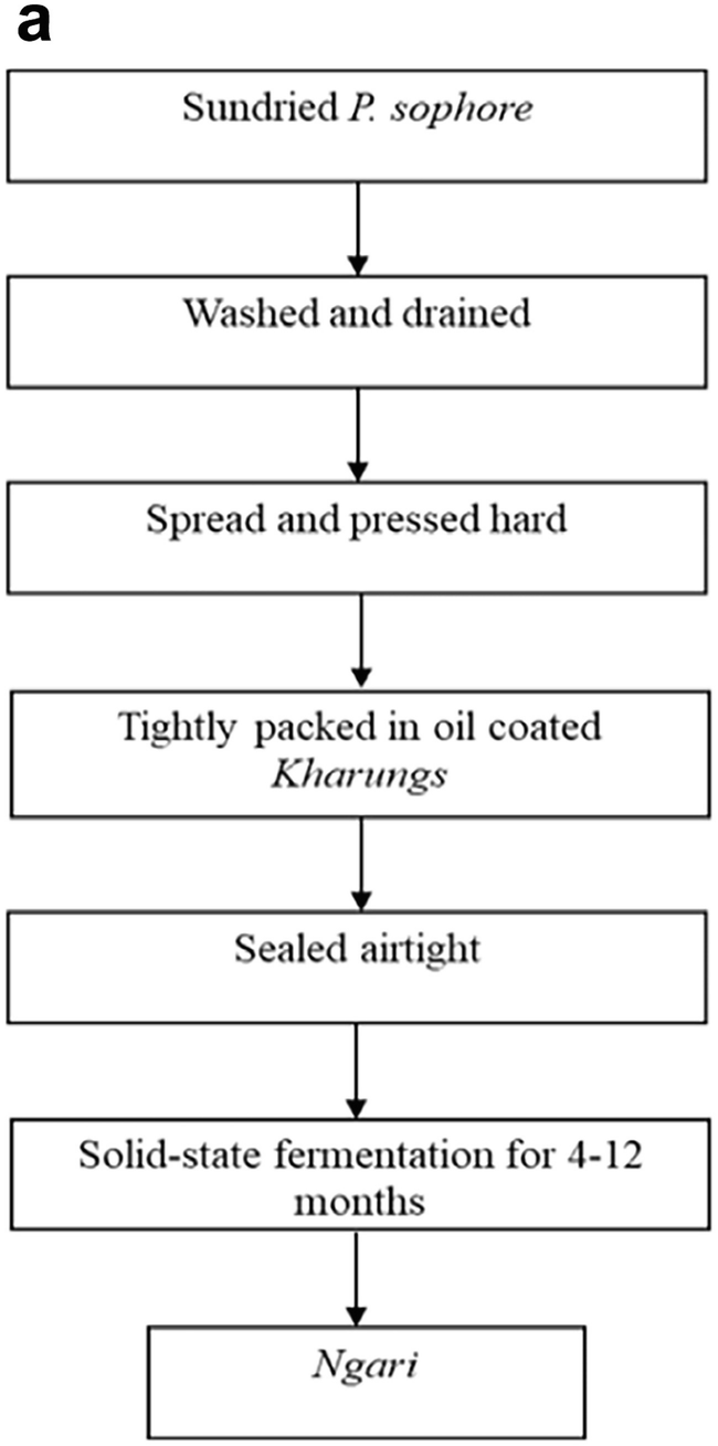 An Important Ingredient of Traditional Fermented Fish in Northeast ...