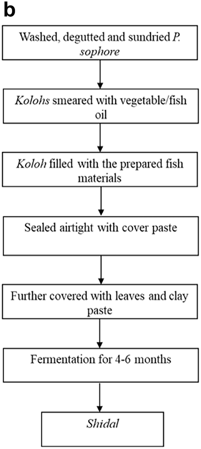 An Important Ingredient of Traditional Fermented Fish in Northeast ...